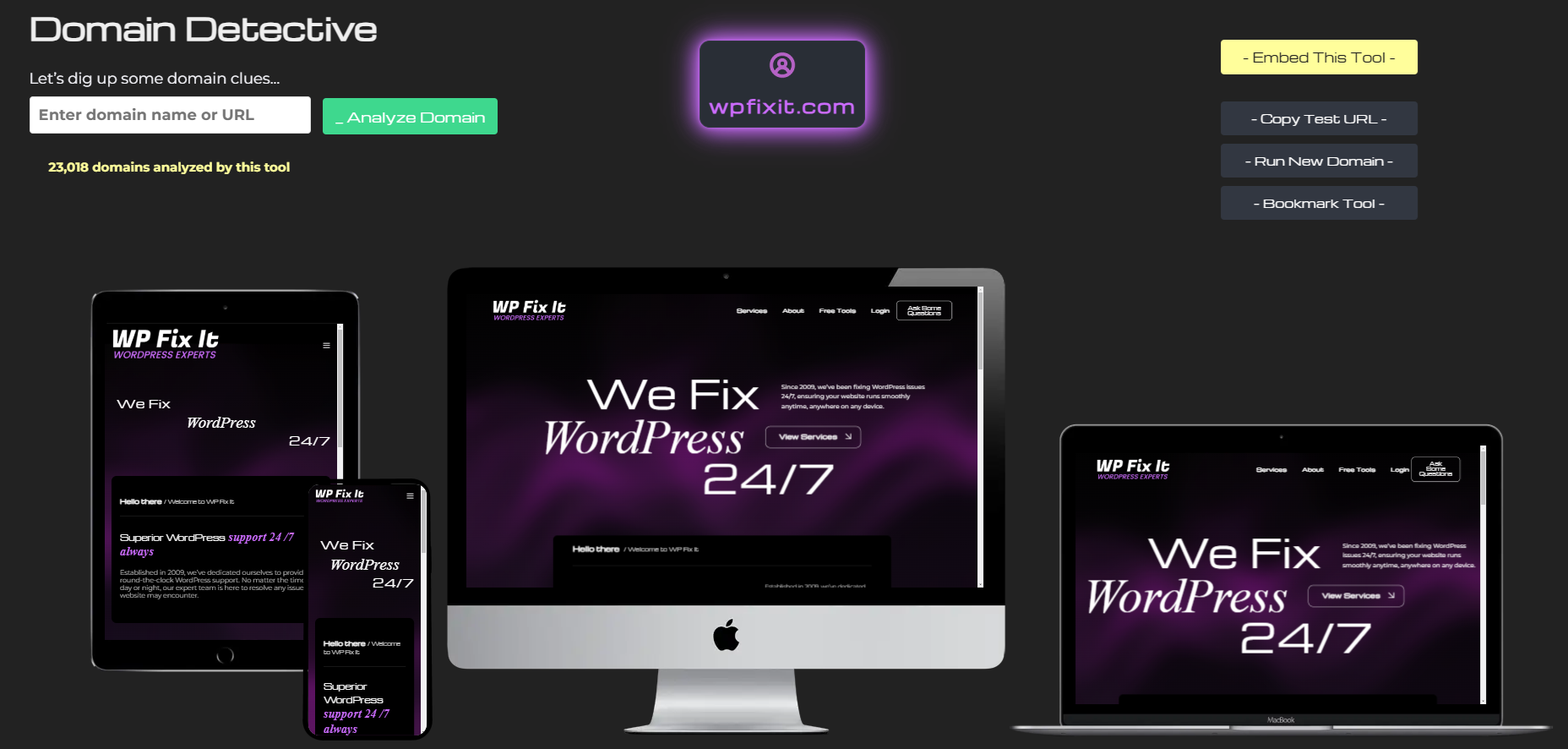 Domain Detective Tool | Domain Insights by WP Fix It