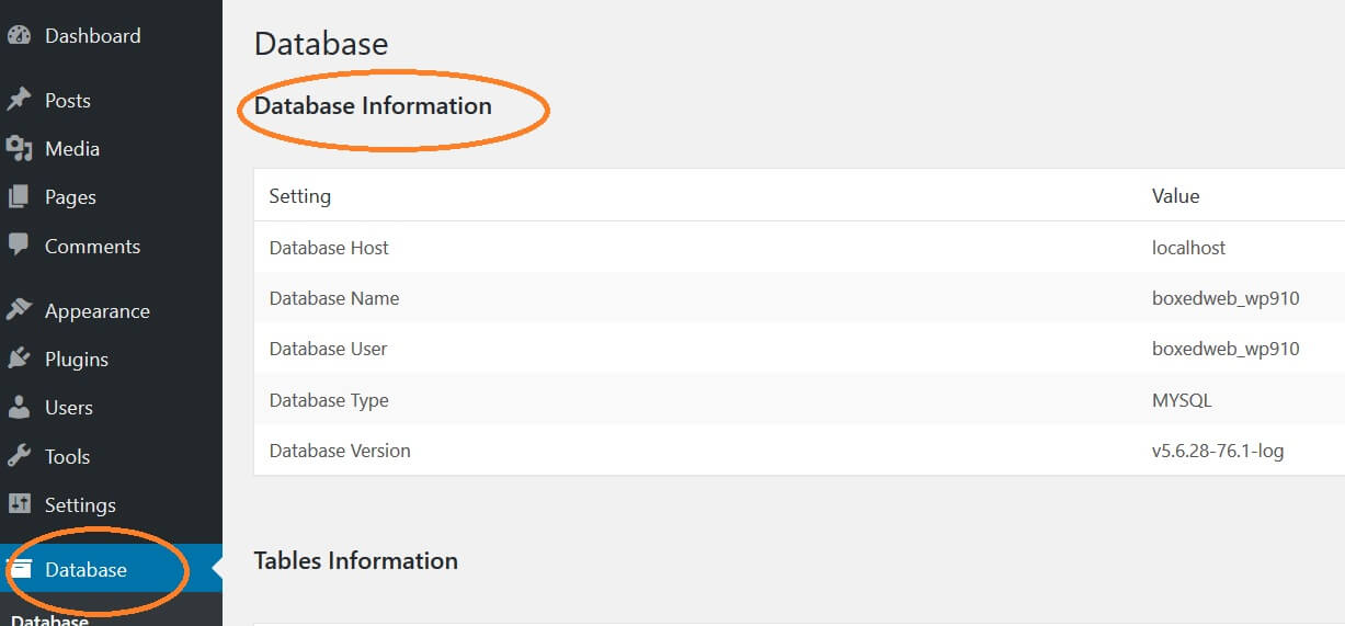 See WordPress Database Details Inside Admin Area - WP Fix It