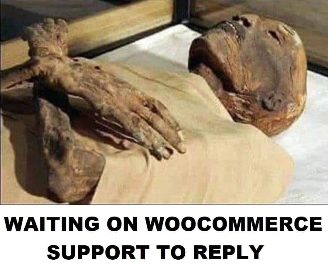 WordPress MEMEs - Some Funny WordPress Related MEMEs