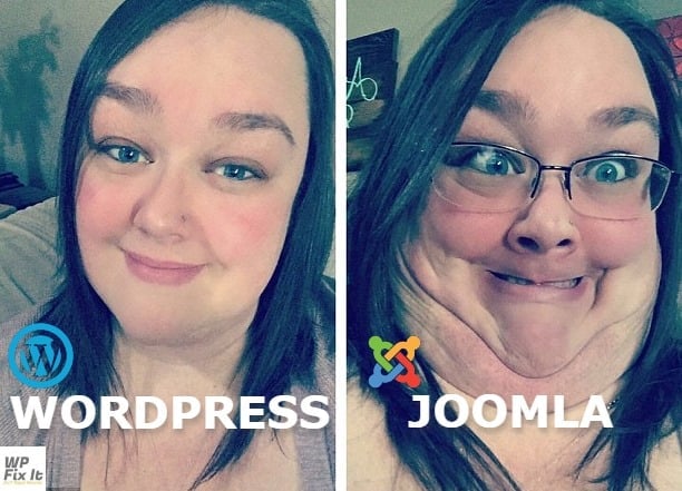 WordPress MEMEs - Some Funny WordPress Related MEMEs